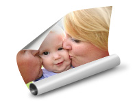 Large Print, 16x20 | Large Prints | Prints | Shutterfly CA